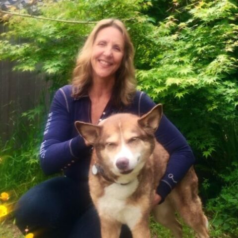 Veterinarian In Sebastopol, CA | Animal Hospital Of Sebastopol