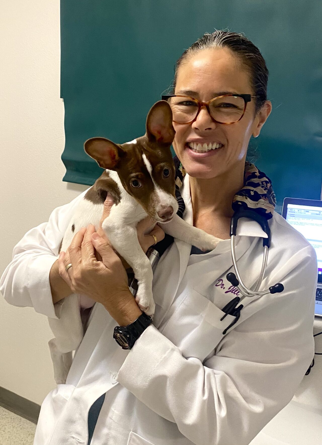 Veterinarian In Sebastopol, CA | Animal Hospital Of Sebastopol