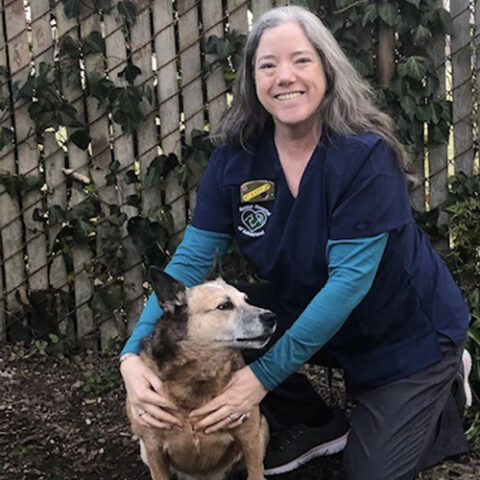 Veterinarian In Sebastopol, CA | Animal Hospital Of Sebastopol